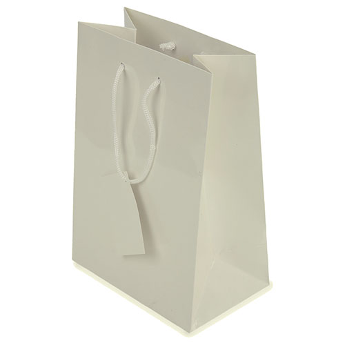 PLASTIFIED PAPER GIFT BAG regalo publicitario